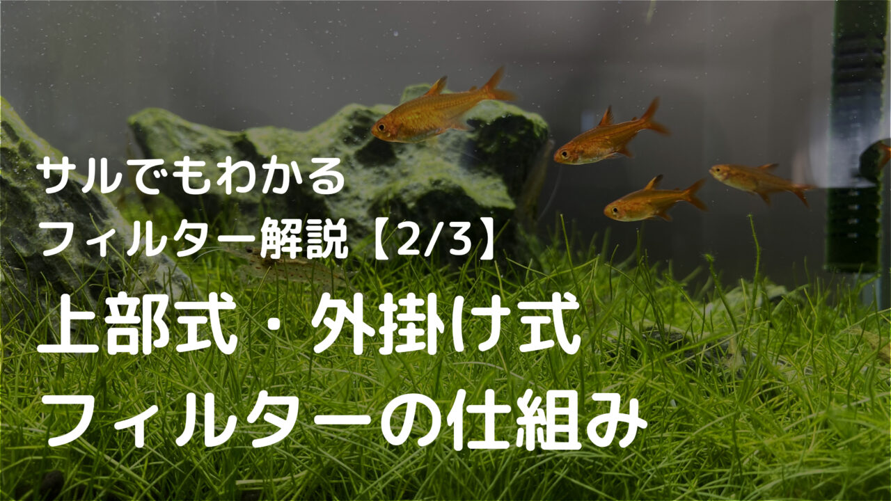 【サルでもわかる】上部式・外掛け式フィルターのしくみ【水槽フィルター解説】|ざっくリウム